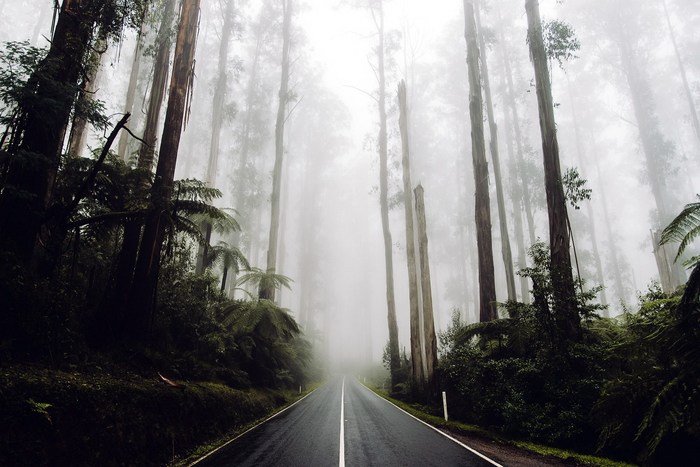 road free hd widescreen 1920x1282 - Coolwallpapers.me!