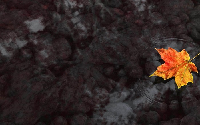 2880x1800 Cool leaf - Coolwallpapers.me!