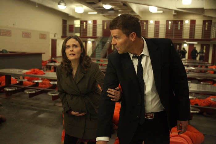 bones - Full HD Wallpaper, Photo 3900x2600 - Coolwallpapers.me!