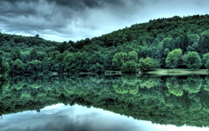 nature high definition wallpaper (1920x1200) - Coolwallpapers.me!