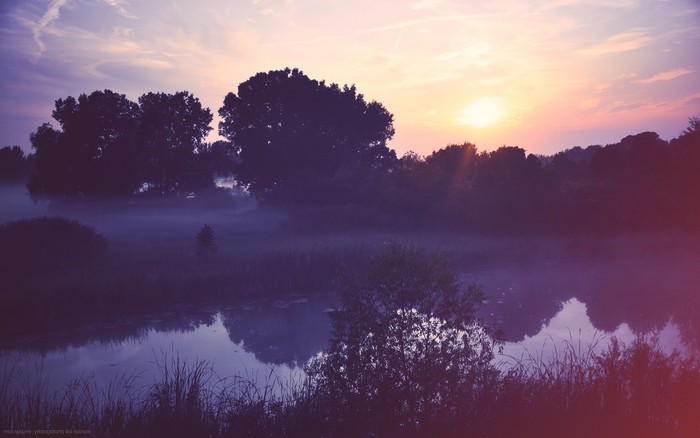 landscape sun rays trees lake wallpaper - Coolwallpapers.me!