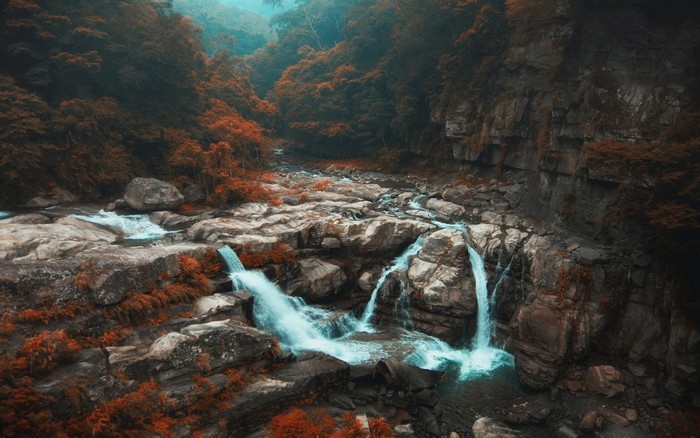 nature landscape fall forest waterfall trees river mist shrubs taiwan ...