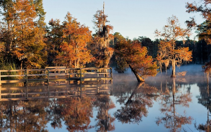 nature reflection trees landscape lake wallpaper - Coolwallpapers.me!