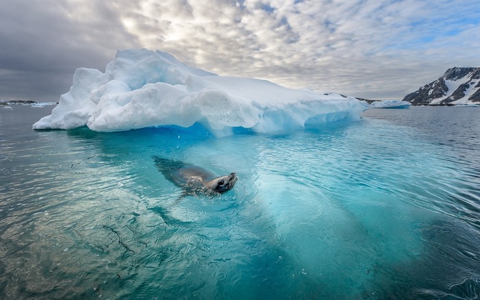 nature ice landscape iceberg wallpaper - Coolwallpapers.me!