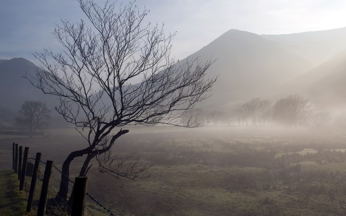 2199x1293 / mist nature landscape trees wallpaper - Coolwallpapers.me!