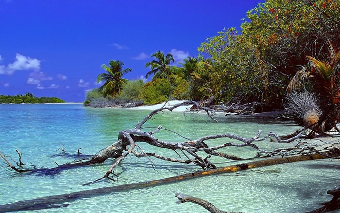 1600x1200 island nature landscape beach deserted island sea water ...
