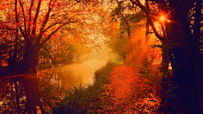 trees river sun rays fall wallpaper - Coolwallpapers.me!