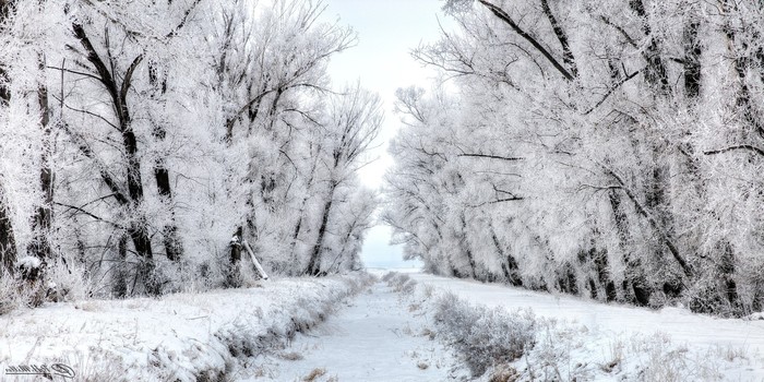 2048x1024 photography nature winter snow wallpaper - Coolwallpapers.me!