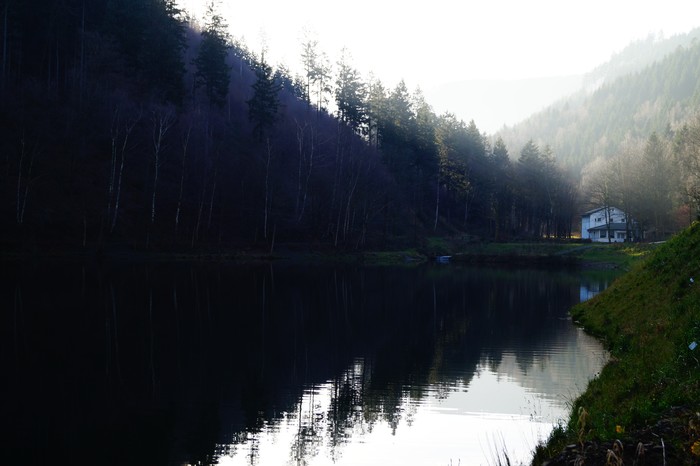 landscape forest lake mist sun wallpaper - Coolwallpapers.me!