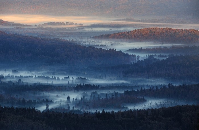 nature landscape mist sunrise forest hills sunlight blue germany ...