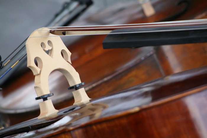 violin 4k wallpaper - Coolwallpapers.me!