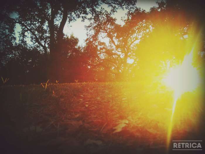 afternoon, beautiful, nature, sunset wallpaper - Coolwallpapers.me!