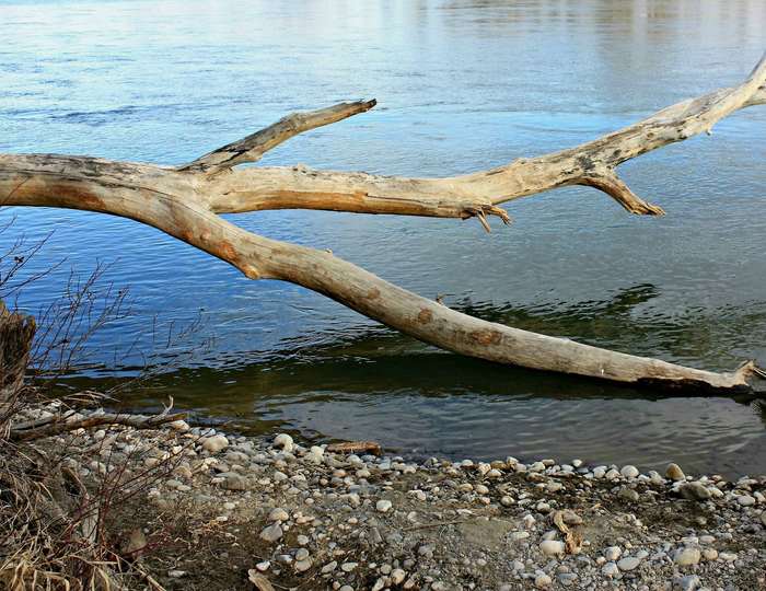 driftwood, log, river, tree wallpaper - Coolwallpapers.me!