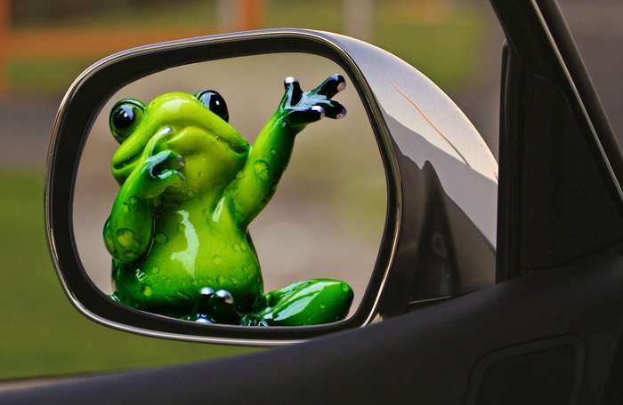 cute, drive away, farewell, frog, funny, leave, rear mirror, sad, time ...