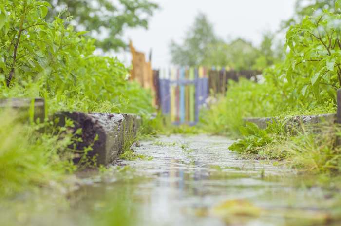 countryside, grass, rain, rainy 4k wallpaper - Coolwallpapers.me!