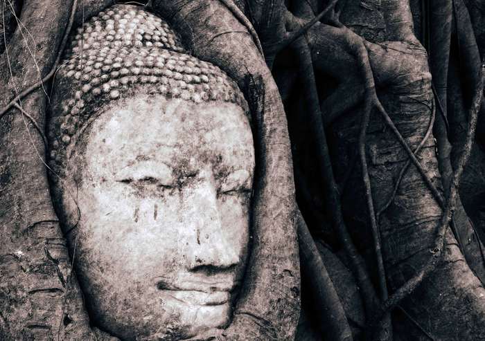 ayutthaya tree buddha 4k wallpaper - Coolwallpapers.me!