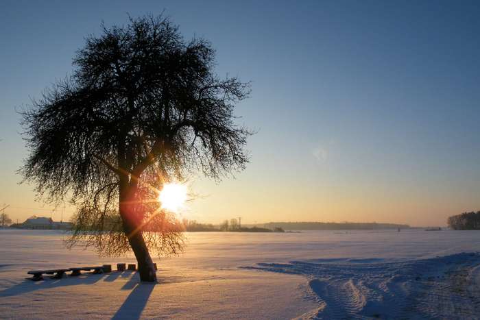 chair, cold, dawn, dusk, evening, fog, ice, lake, landscape, light ...
