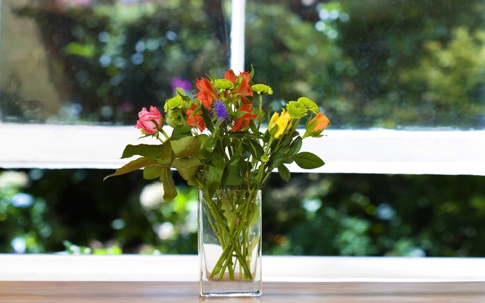 Herbs, Flowers, Bouquet, Window sill, Window, Vase wallpaper ...