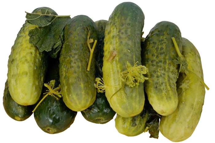 picklesHD wallpapers, backgrounds