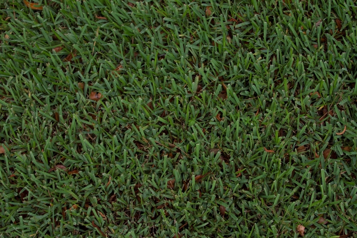 2048x1365 / grass desktop wallpaper free - Coolwallpapers.me!