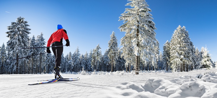 Winter, Skiing, Tree, Snow wallpaper - Coolwallpapers.me!