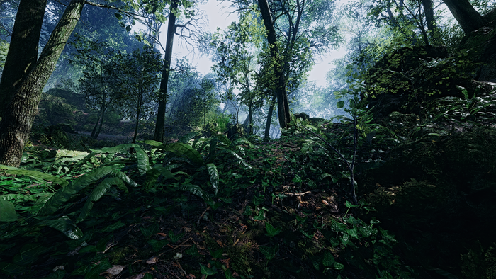 Video Game, Battlefield 1, Forest wallpaper - Coolwallpapers.me!