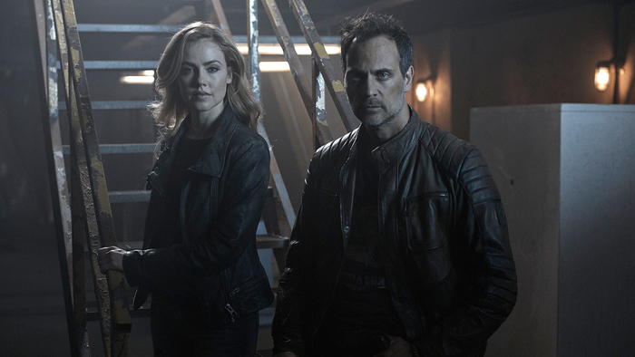 12 monkeys