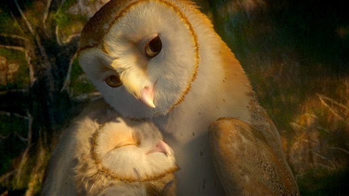 1920x1080 legend guardians owls gahoole widescreen wallpaper ...
