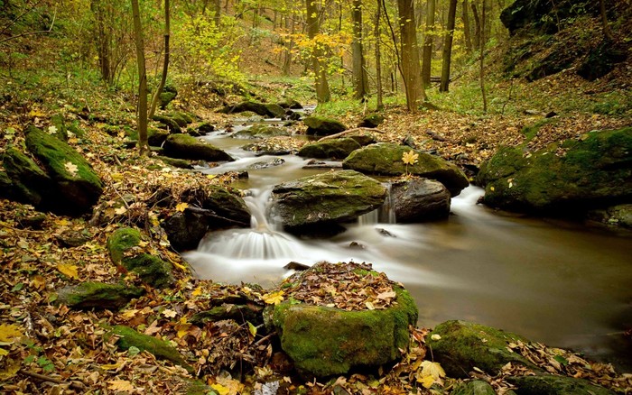 1920x1200 creek wallpaper for desktop - Coolwallpapers.me!