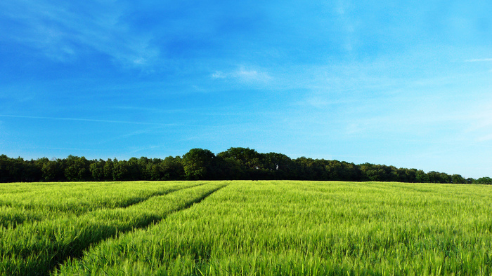 1920x1080 photo, field, landscapes, Widescreen wallpapers, nature ...