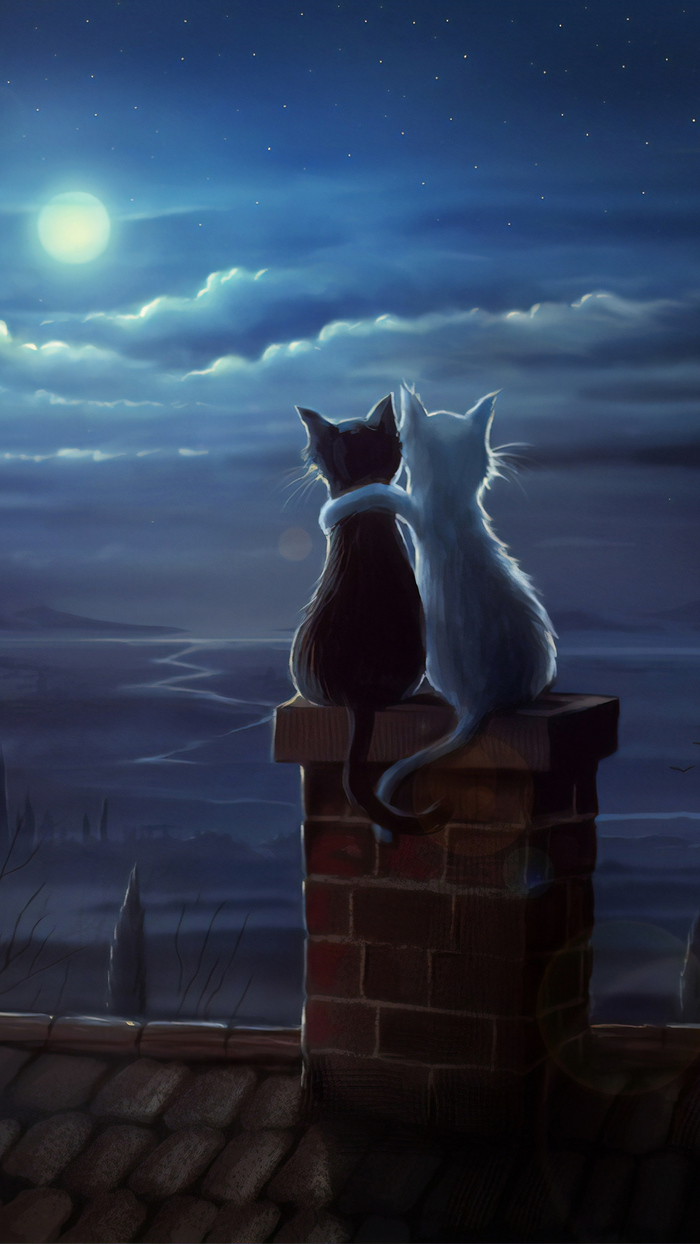 1080x1920 cat, animals, hd, love, cute, deviantart, artist, artwork ...
