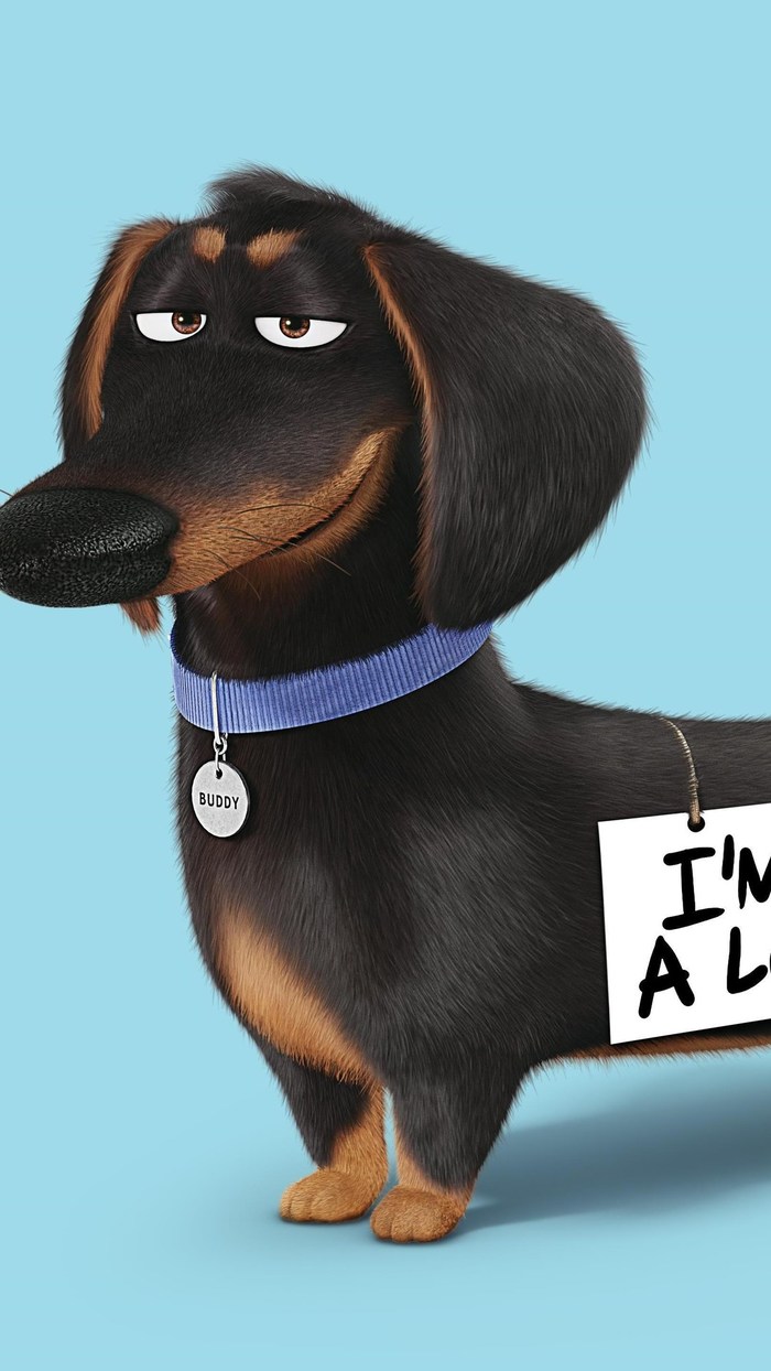1080x1920 the secret life of pets, movies, animated movies, cartoons ...