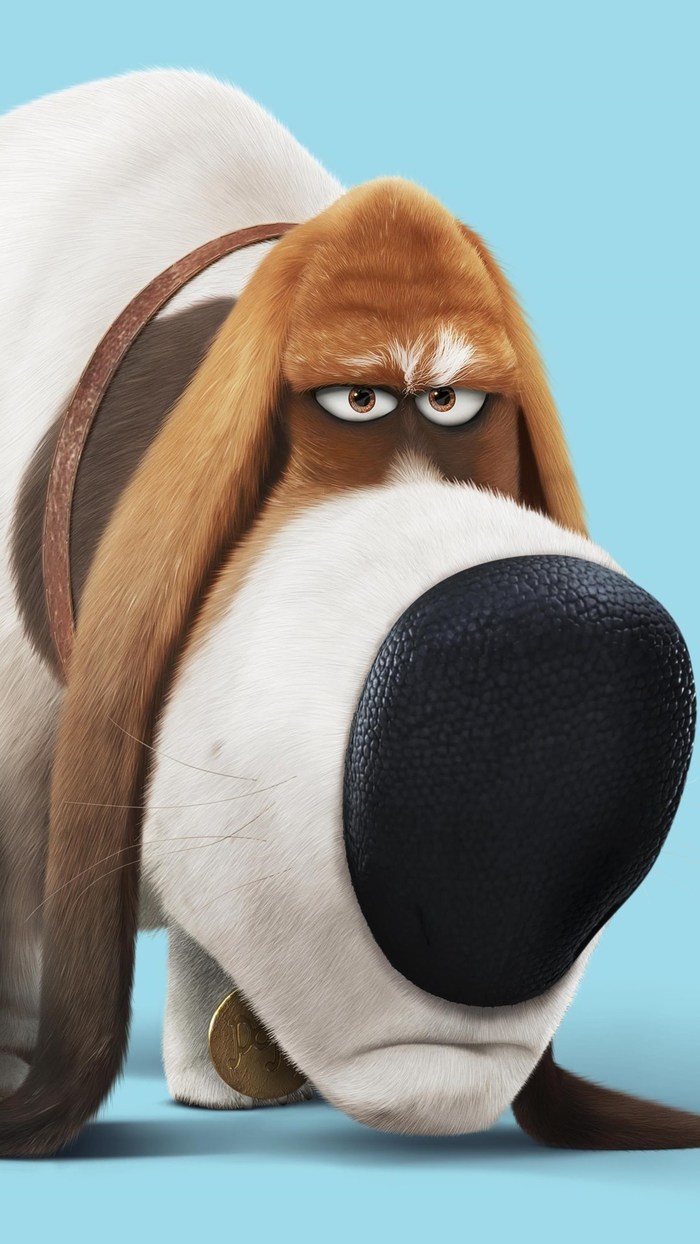 1080x1920 the secret life of pets, movies, animated movies, cartoons ...
