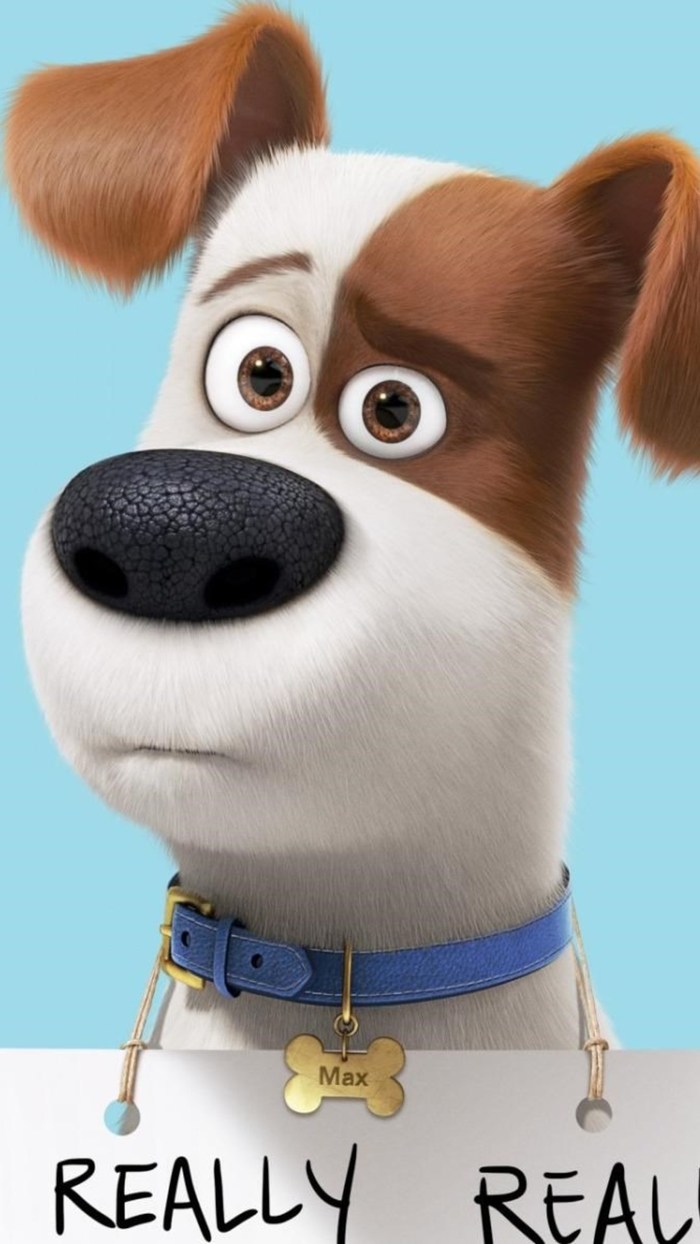 1080x1920 the secret life of pets, movies, animated movies, cartoons ...